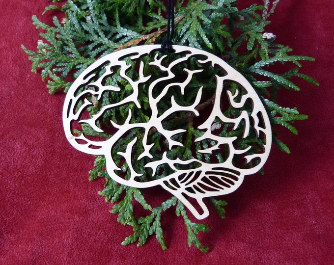 Anatomical Human Brain Ornament Laser Cut Baltic Birch PHD - Etsy Canada