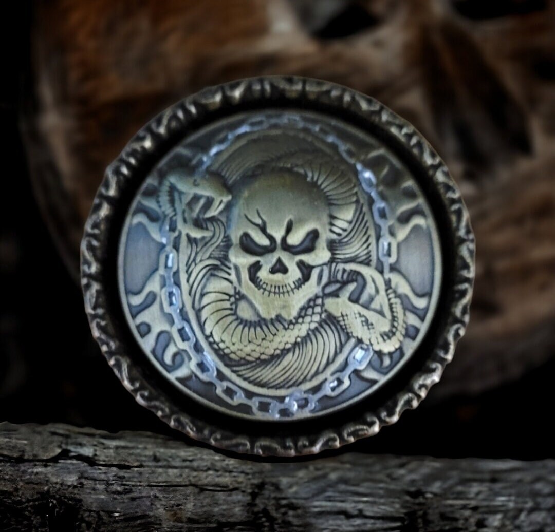 Vintage Golden Bronze Silver Skull and Snake Cabinet Drawer Knob Pulls ...