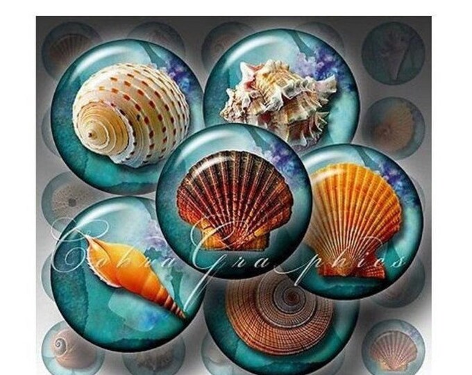 Set of 6 Tropical Beach Sea Shells Aqua Blue GLASS Cabinet - Etsy