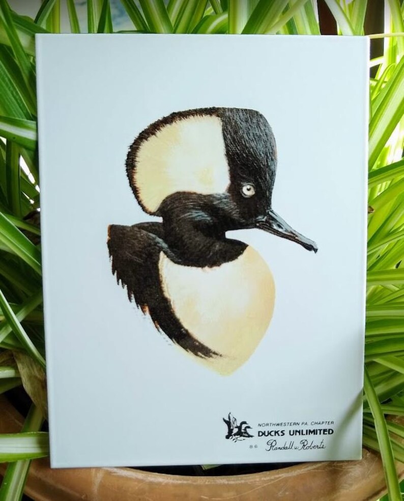 DUCKS UNLIMITED - #86 - by Randell Roberts. - Etsy