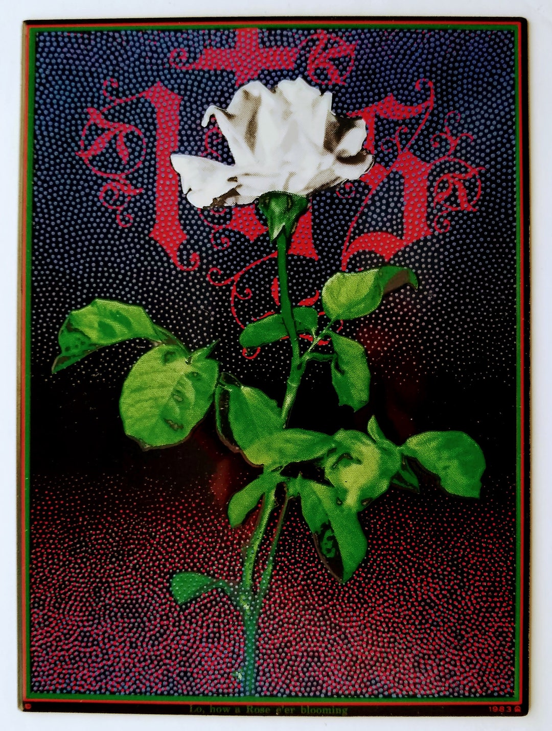 Vintage Christmas Rose Card – Carl Sundberg Porcelain Enamel, 1983 - Etsy