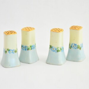 Antique Limoges Small Porcelain Salt & Pepper Shakers, Blue Posies and ...