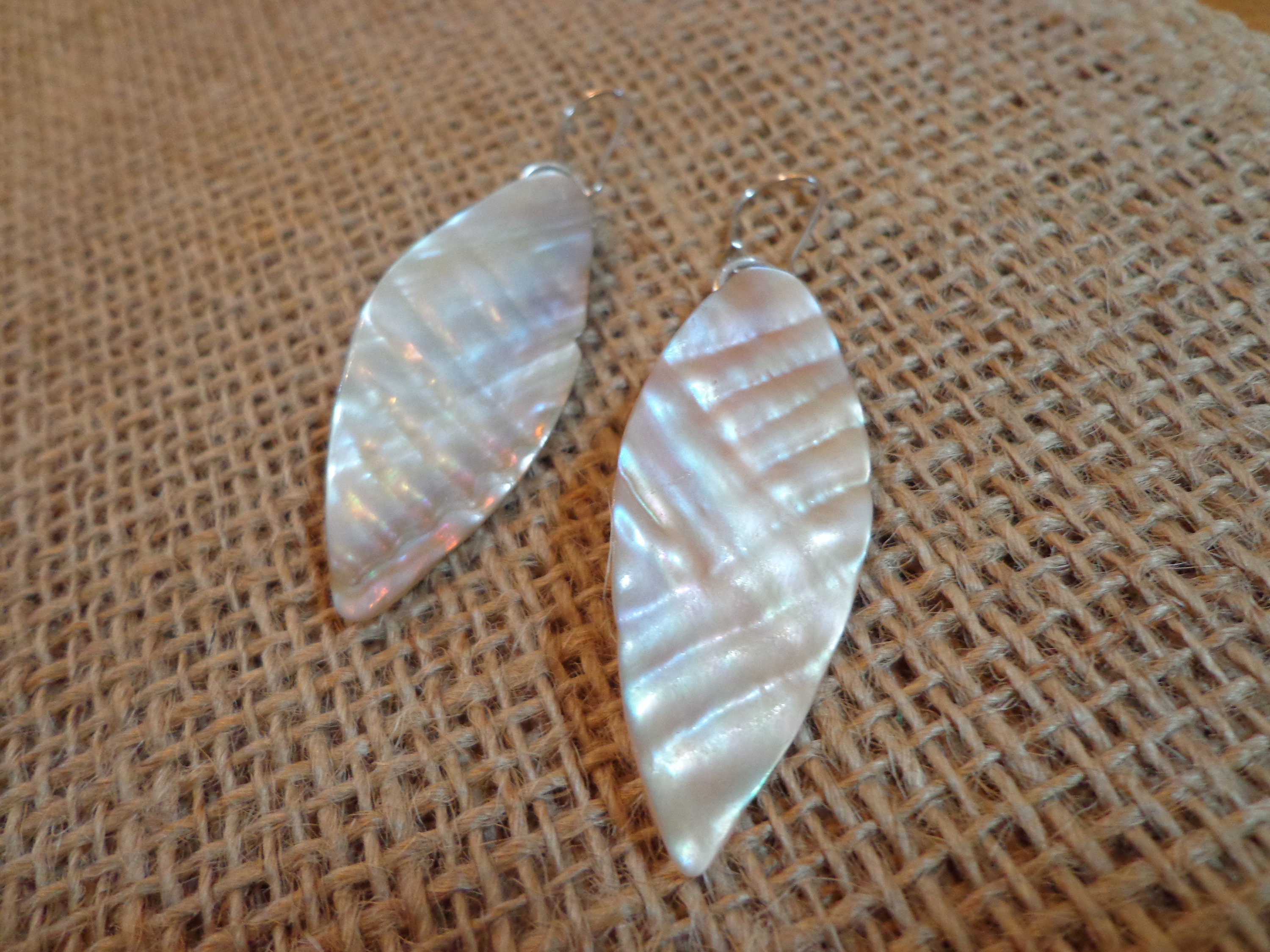 Abalone Shell Earrings, Beautiful Natural Abalone, Choose Gold or ...