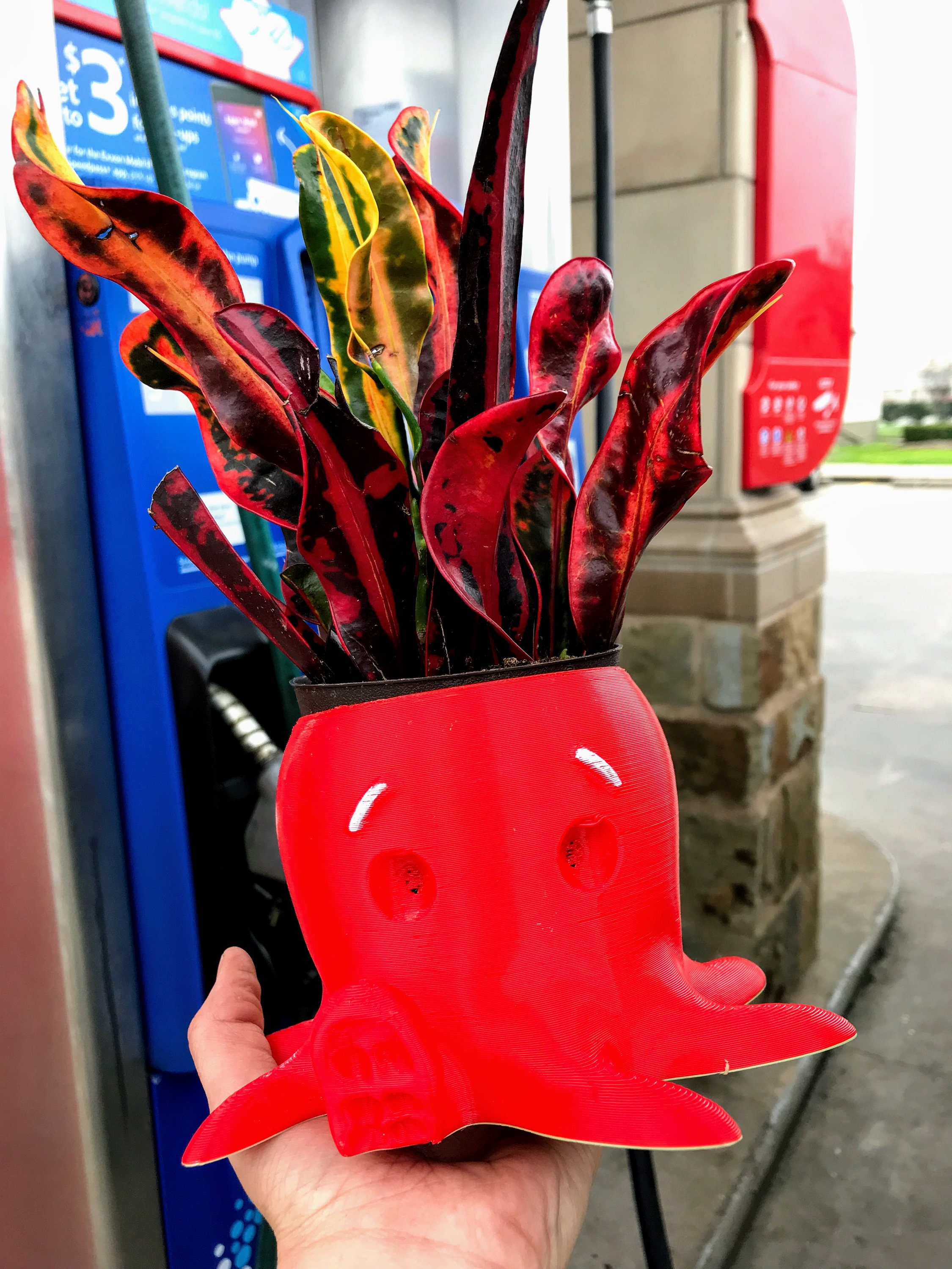 Octopus Succulent Planters just the Pots Made in Texas - Etsy