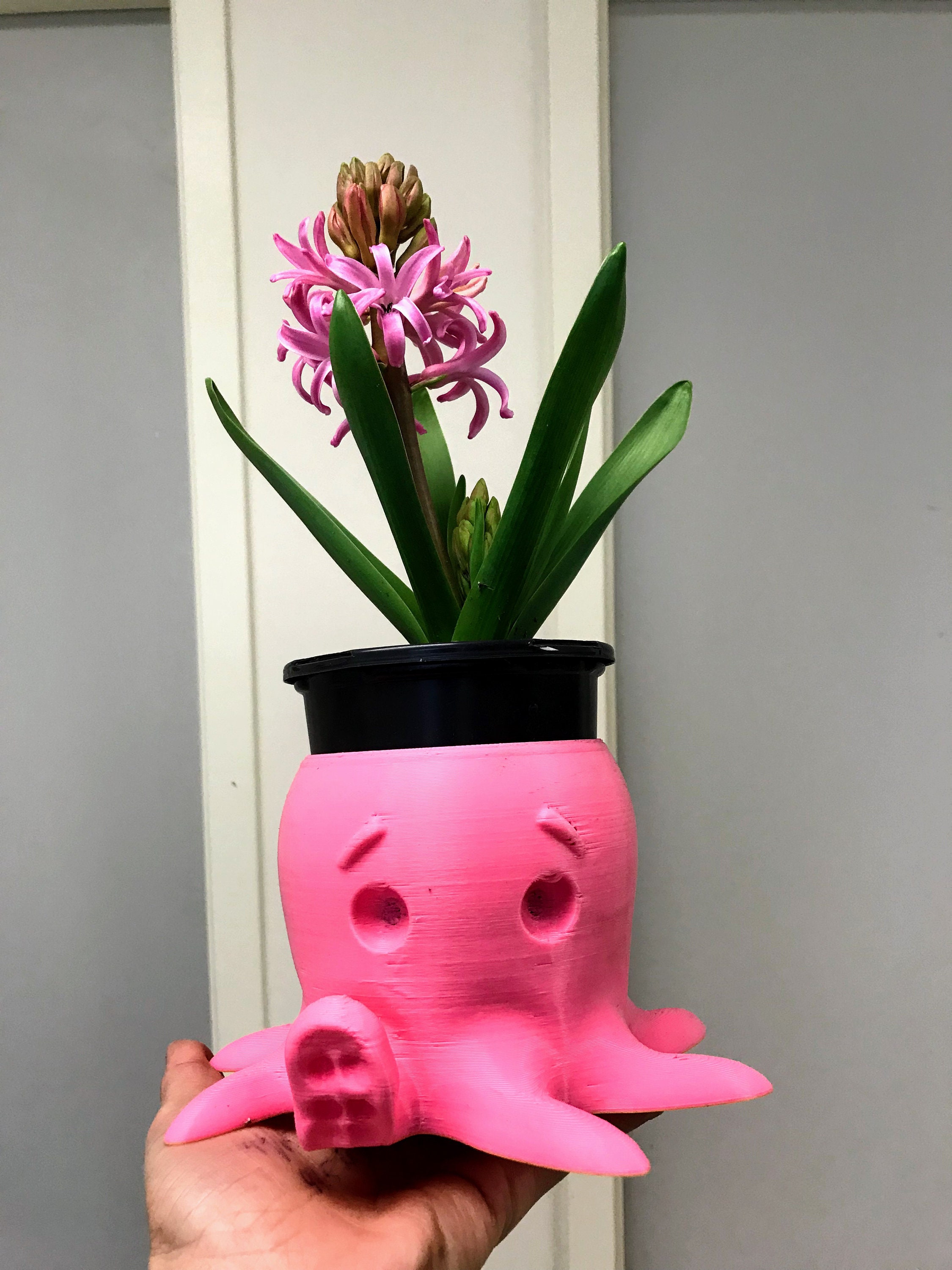 Octopus Succulent Planters just the Pots Made in Texas - Etsy