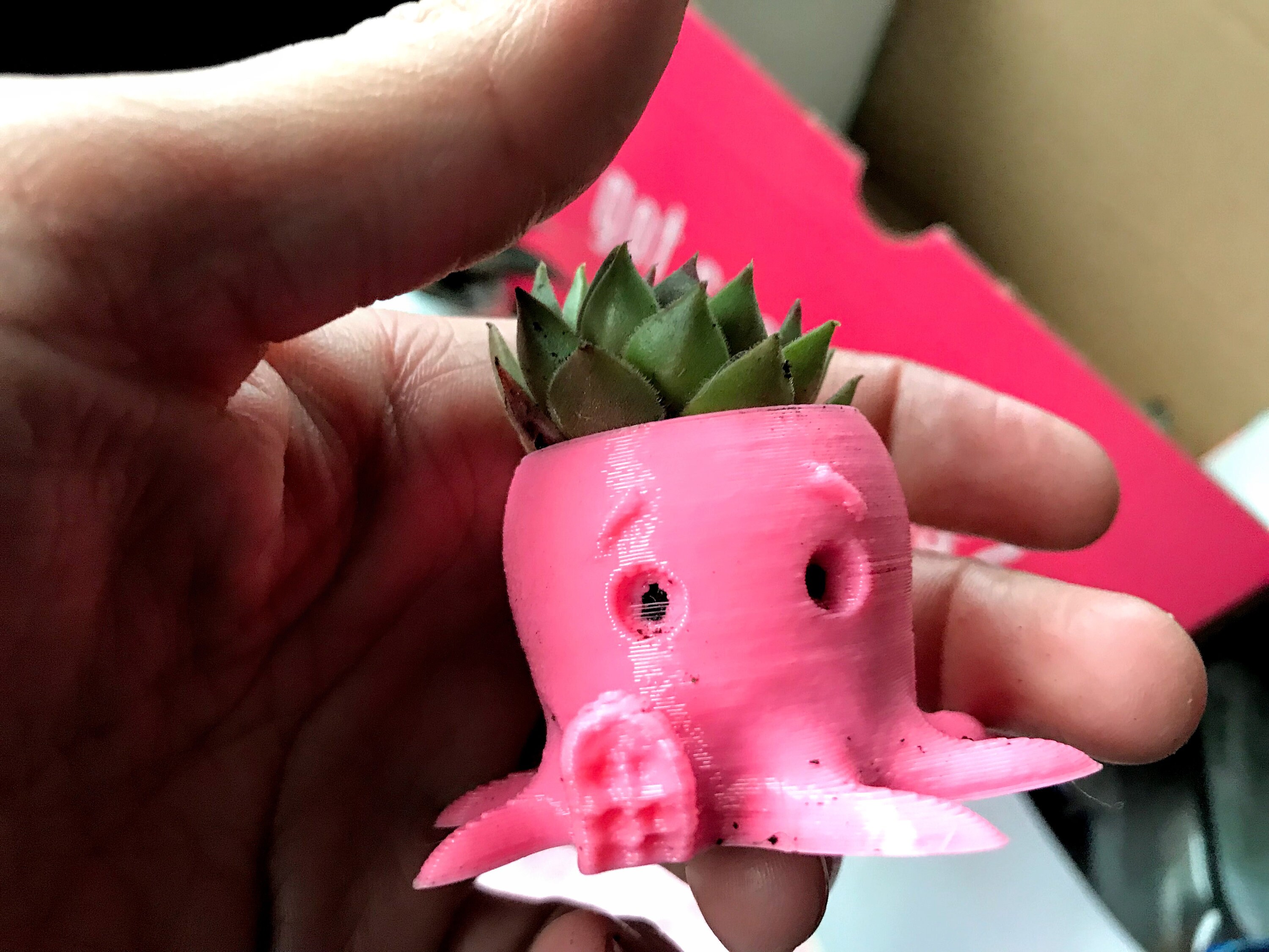 Octopus Succulent Planters just the Pots Made in Texas - Etsy