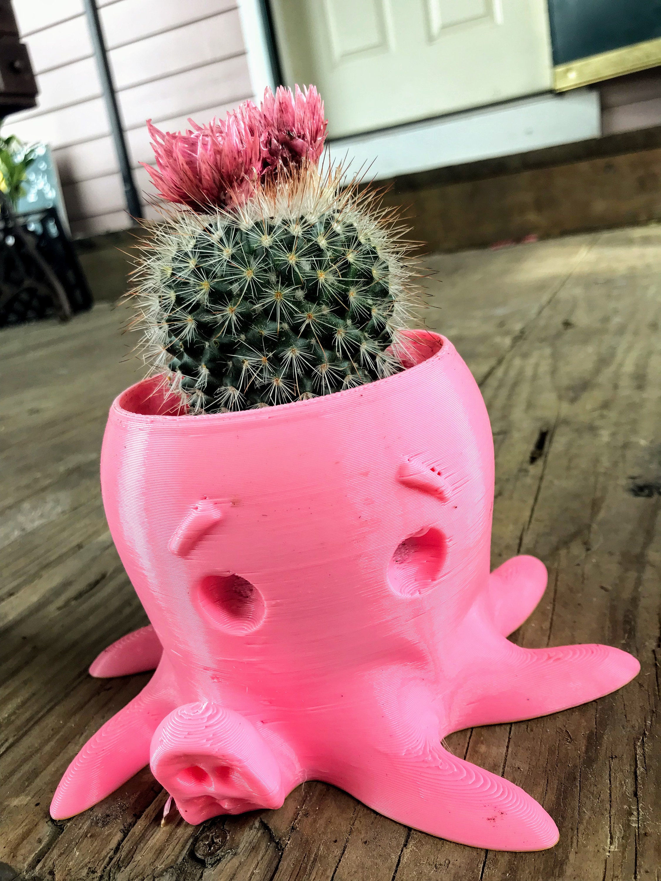 Octopus Succulent Planters just the Pots Made in Texas - Etsy