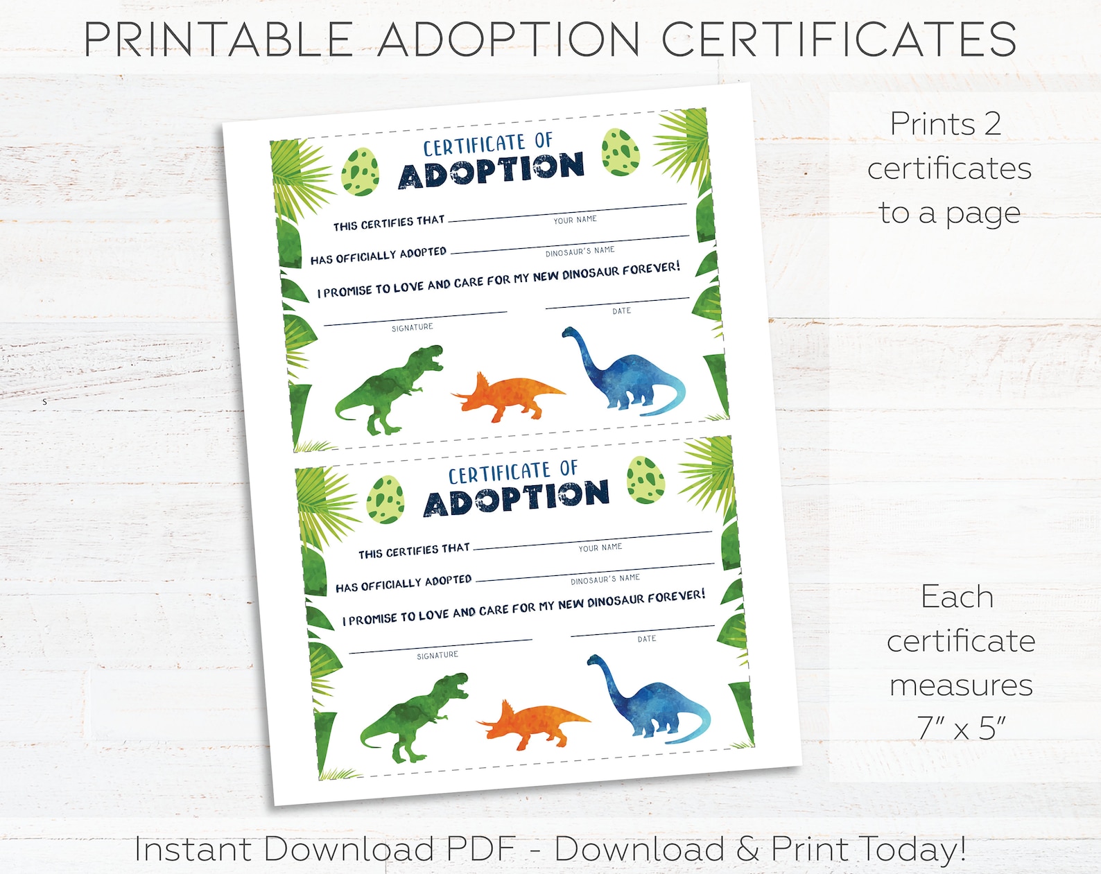 Adopt a Dinosaur Printable Sign & Dinosaur Adoption Certificates, Boy ...