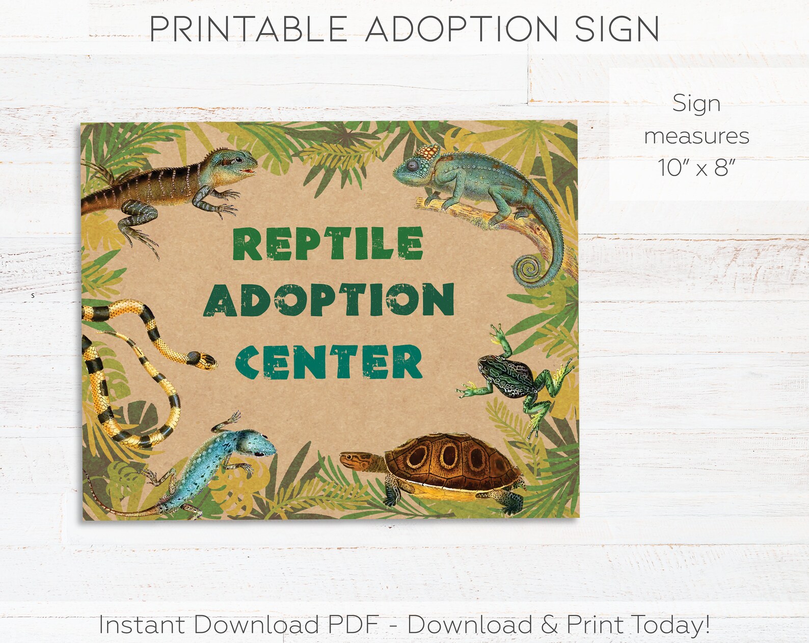 Adopt a Reptile Printable Sign & Reptile Adoption Certificates, Reptile ...
