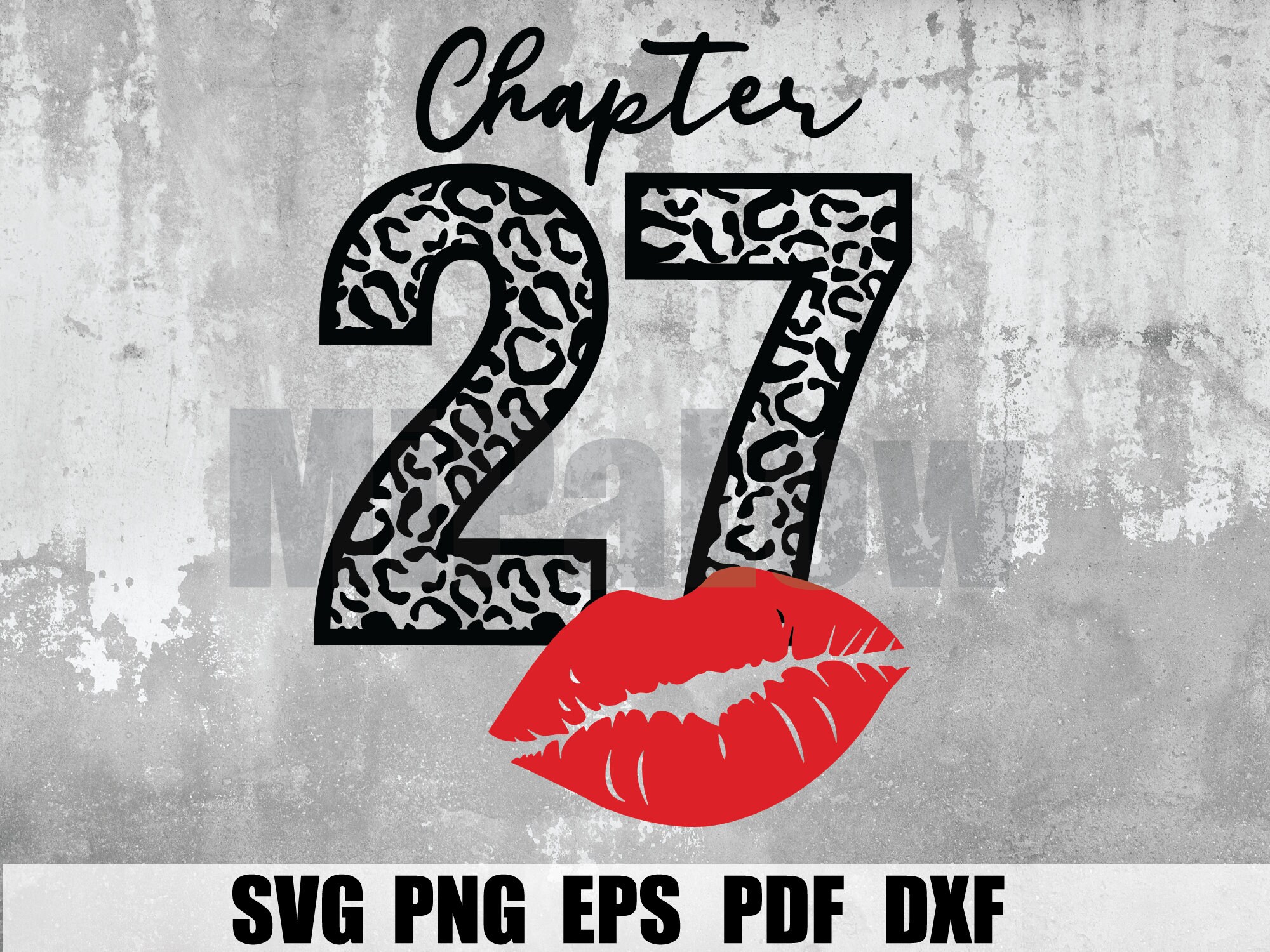 Chapter 27 Svg 27th Birthday Svg Twenty-seven Svg Leopard - Etsy