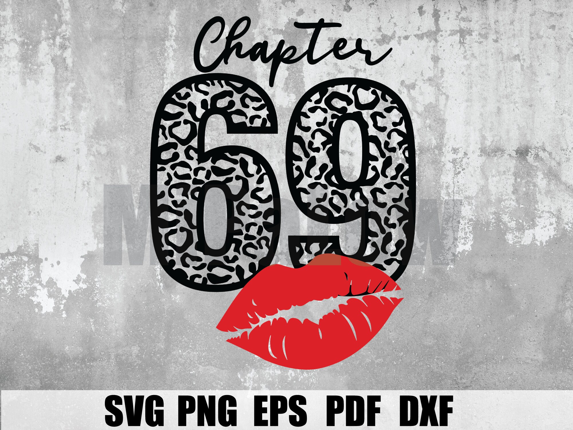 Chapter 69 Svg 69th Birthday Svg Sixty-nine Svg Leopard - Etsy Australia