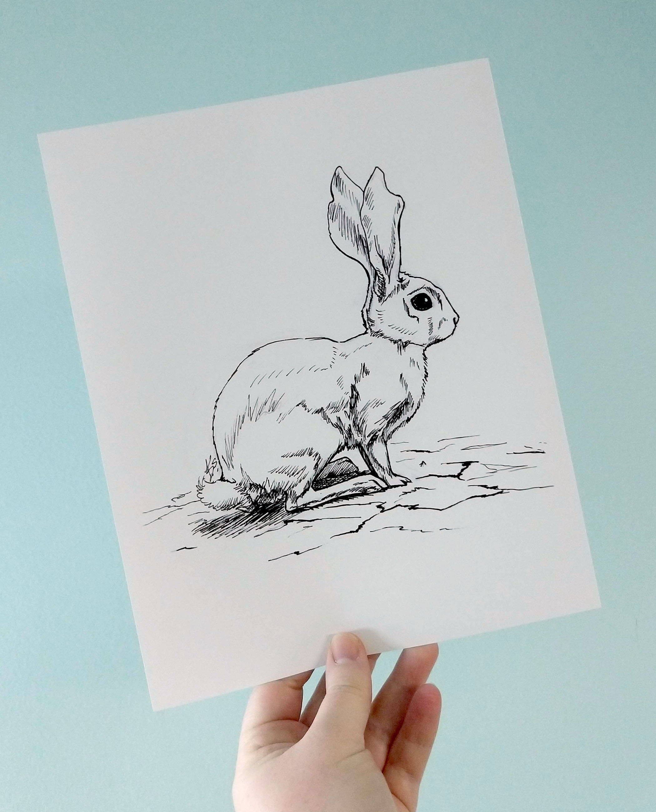 Rabbit 8 X 10 Art Print / Animal Lover / Whimsical Decor / Pen & Ink ...