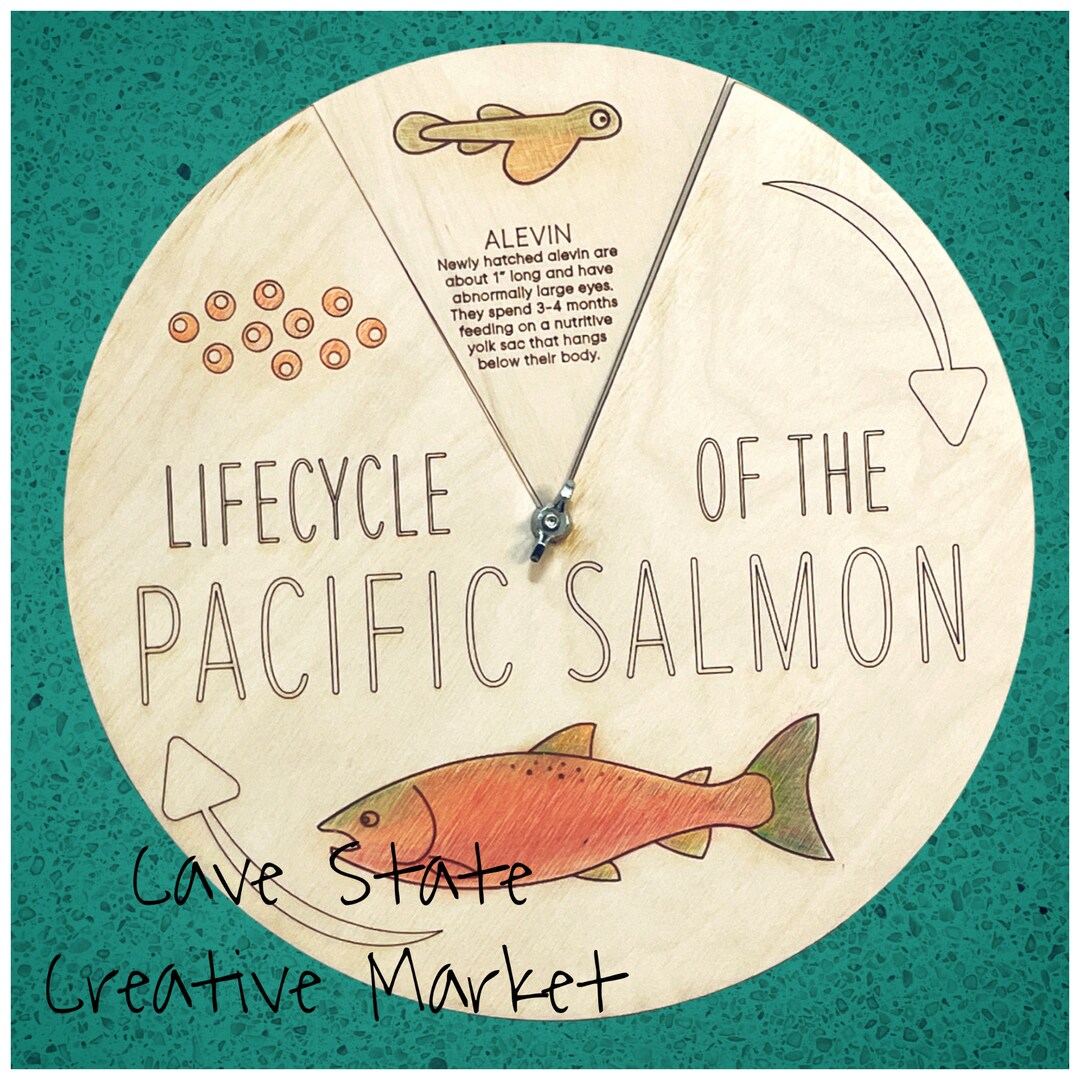 Pacific Salmon Lifecycle Learning Wheel (digital Cut File) - Etsy