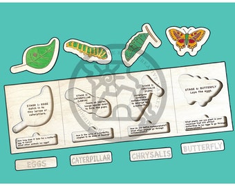 Butterfly Life Cycle | Etsy