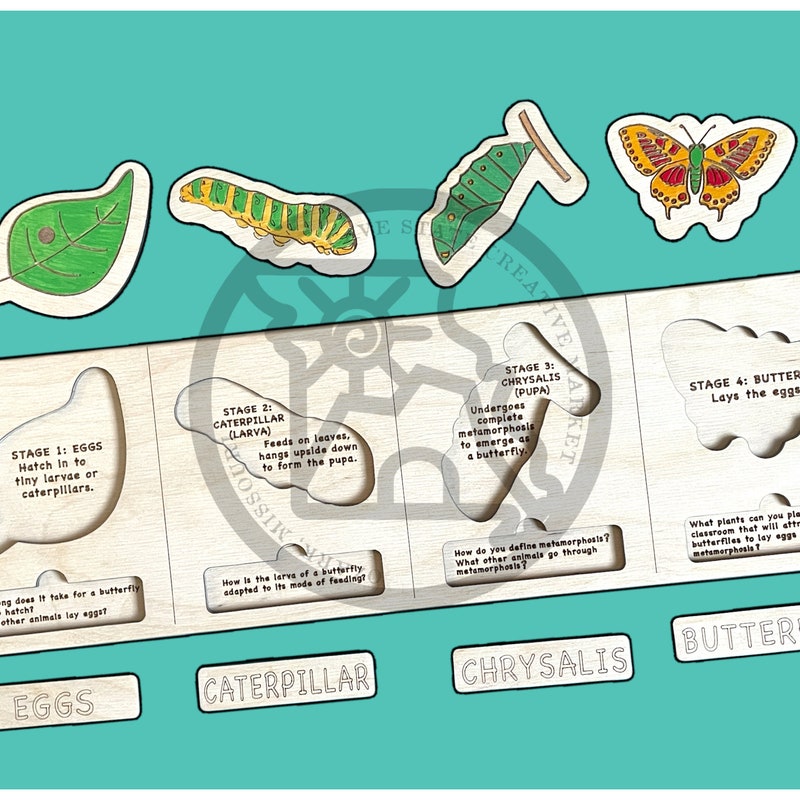 Life Cycle Puzzle - Etsy
