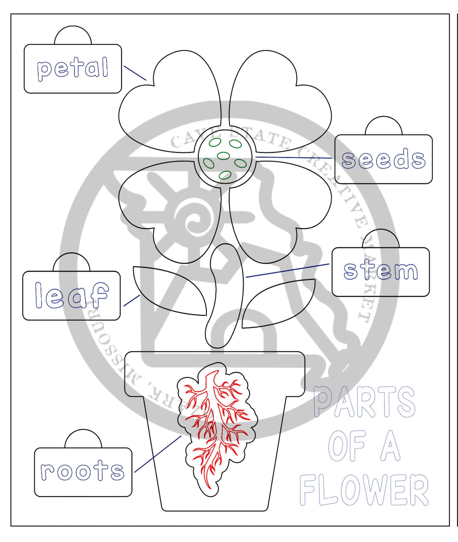 Parts Of A Flower Puzzle at Jessie Ramirez blog