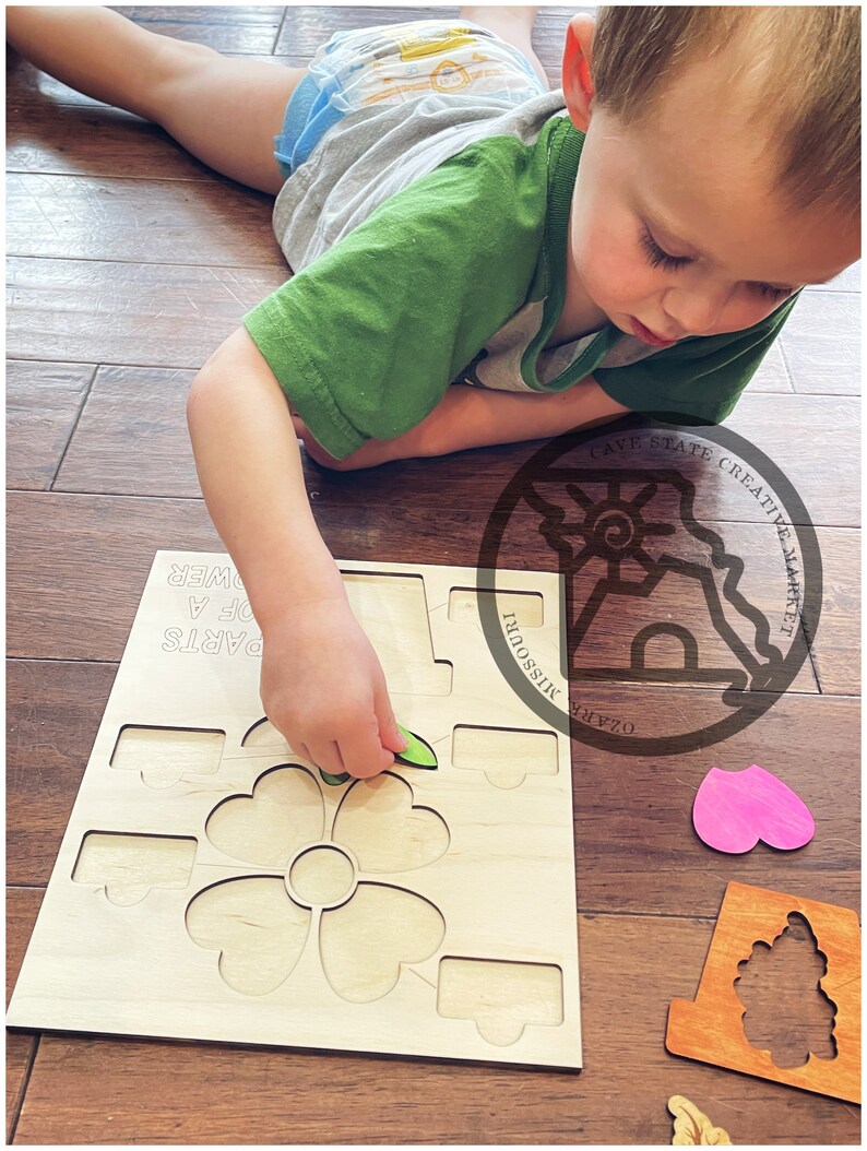 Parts of a Flower Puzzle digital Cut File - Etsy