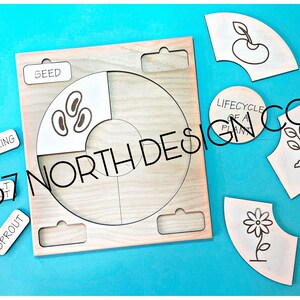 Montessori Style Lifecycle Puzzles (plant, Frog, Butterfly, Chicken ...