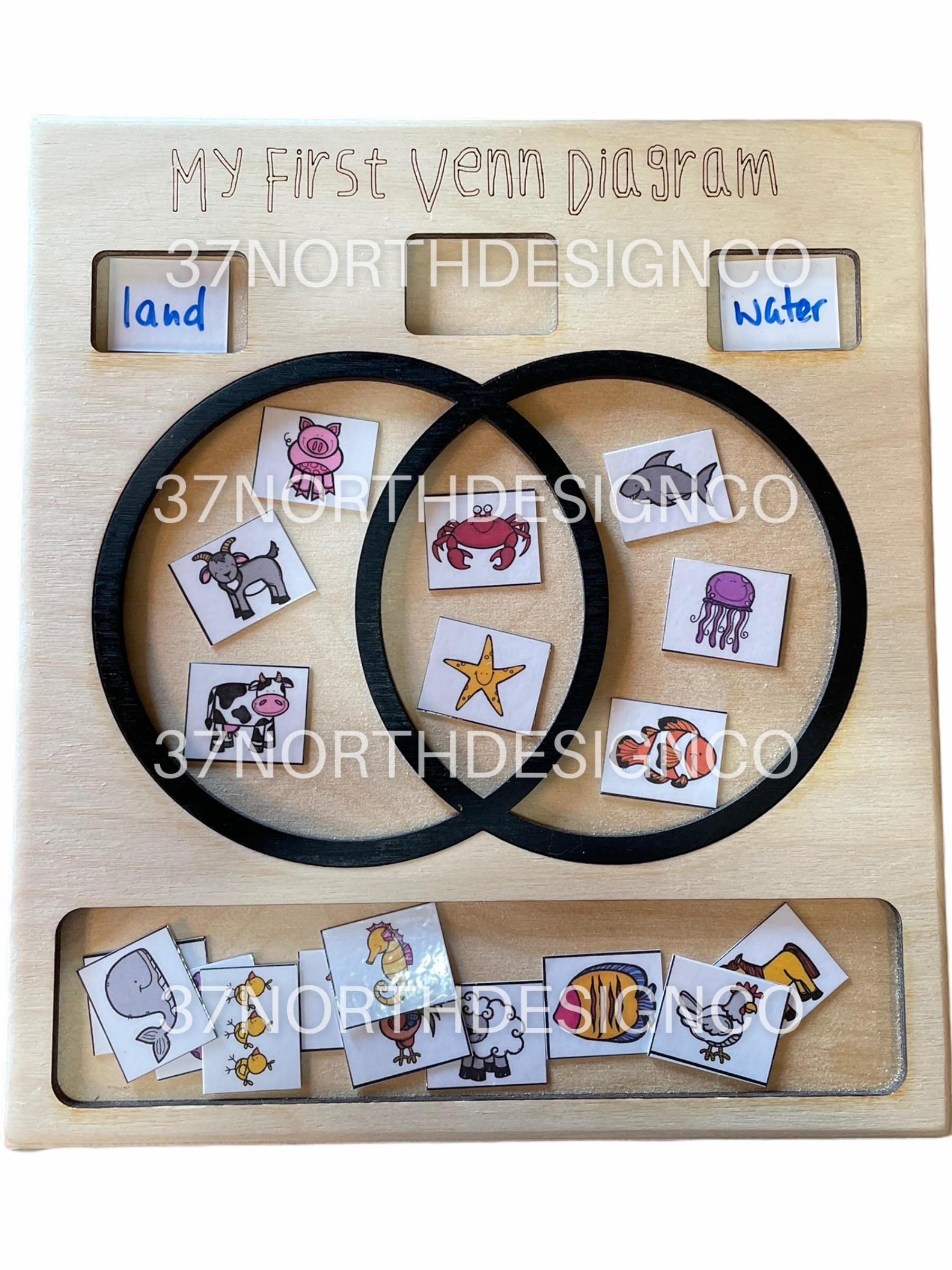 Venn Diagram Sorting Tray DIGITAL CUT FILE | Etsy