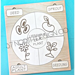 Montessori Style Lifecycle Puzzles (plant, Frog, Butterfly, Chicken ...