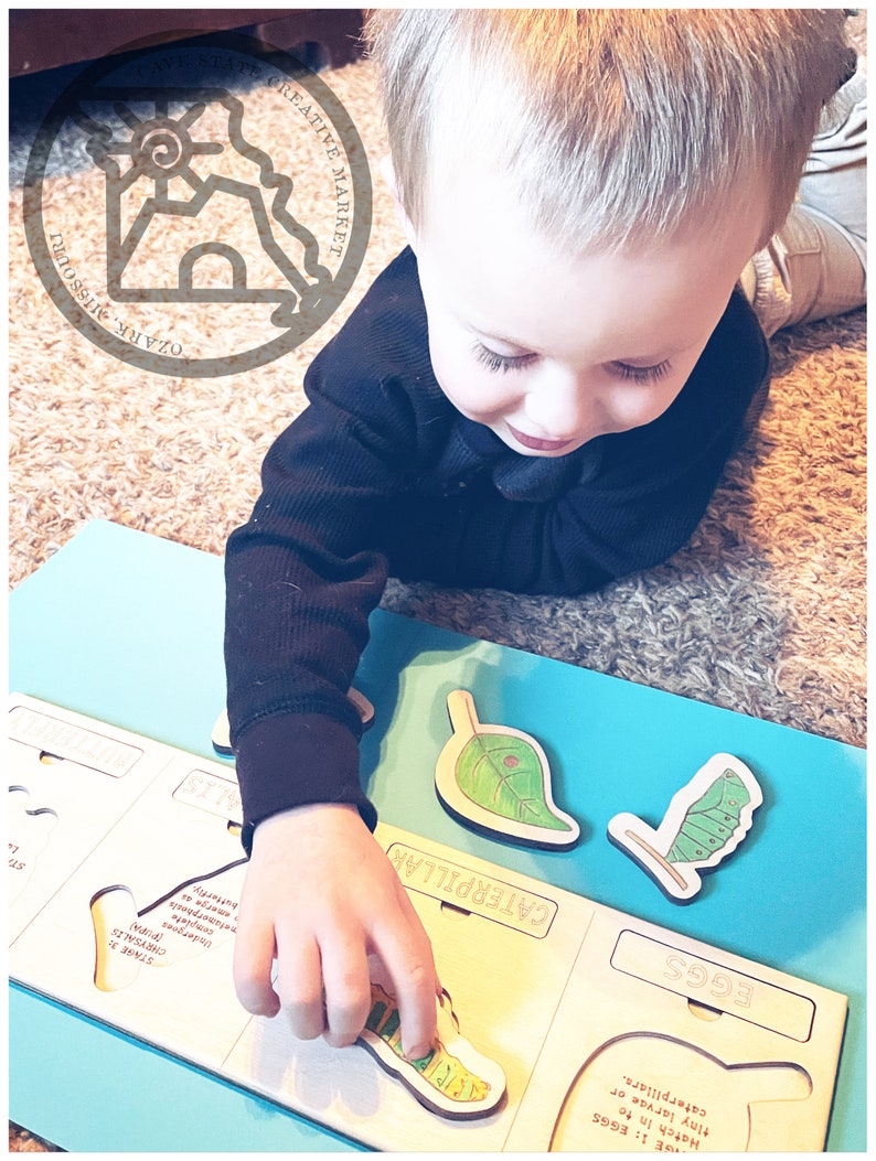 Butterfly Life Cycle Puzzle digital Cut File - Etsy