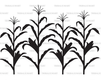 Corn Stalk. Cut Files for Cricut. Clip Art Silhouettes eps, Svg, Pdf ...