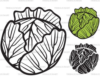 Cabbage Svg/clipart/vegetables Svg/silhouette/cabbage Cricut Cut Files ...