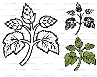 Hopfenblatt svg - Etsy.de