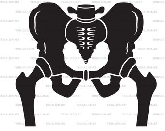 Hip Bone Cut Files for Cricut eps Svg Pdf Png Dxf Jpeg. - Etsy