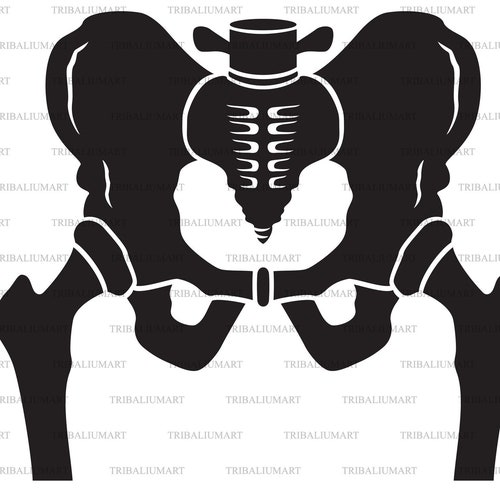 Bone Font SVG PNG DXF - Etsy