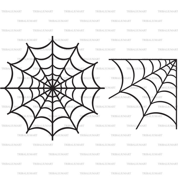 Framed Spider Web - Etsy