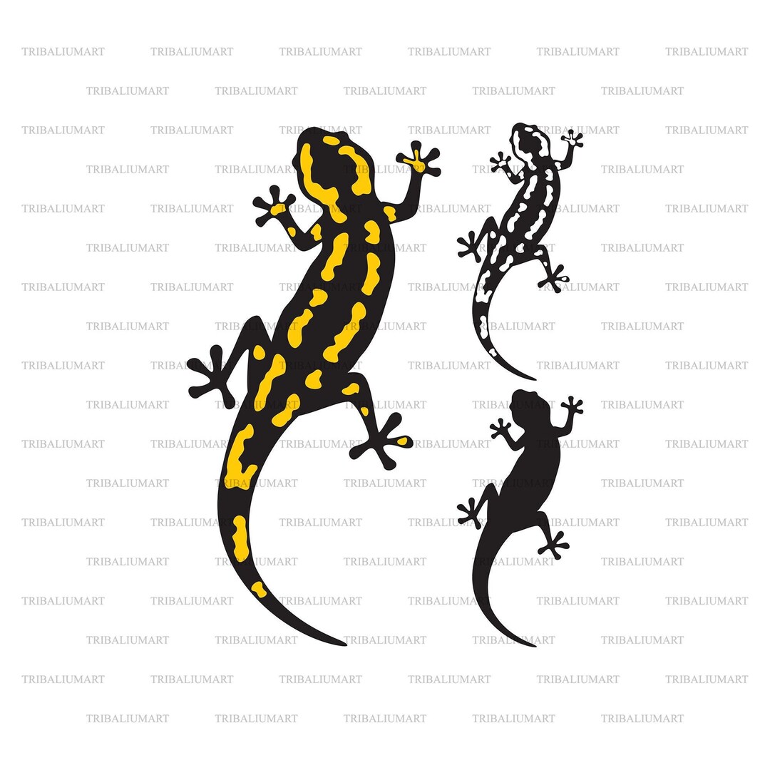 Salamander. Cut Files for Cricut. Clip Art Silhouette (eps, Svg, Pdf ...