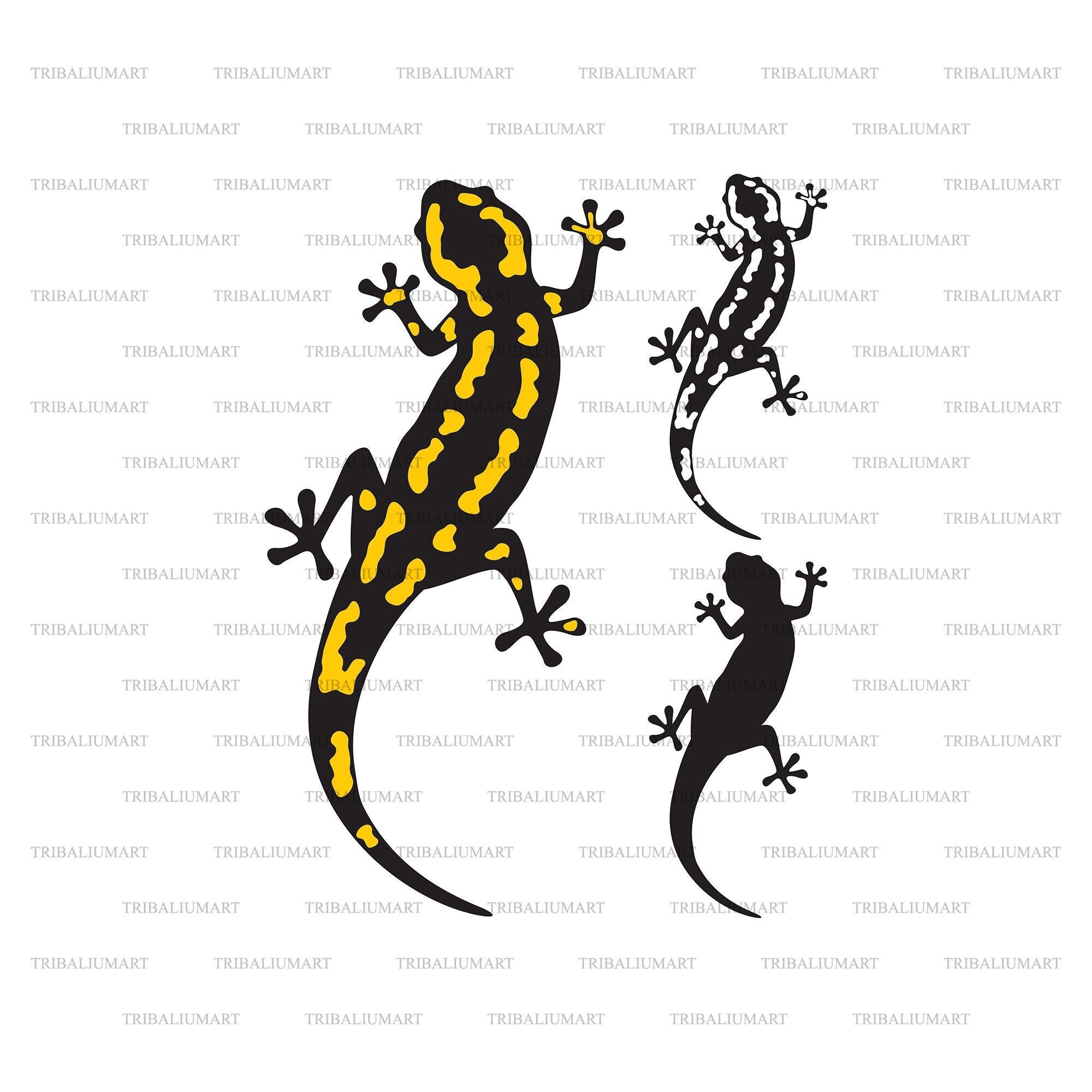 Salamander. Cut Files for Cricut. Clip Art Silhouette eps - Etsy