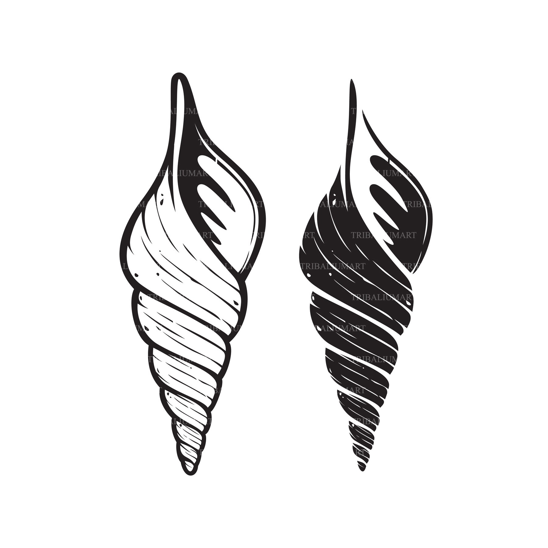 Seashell. Cut Files for Cricut. Clip Art Silhouette eps Svg - Etsy Israel