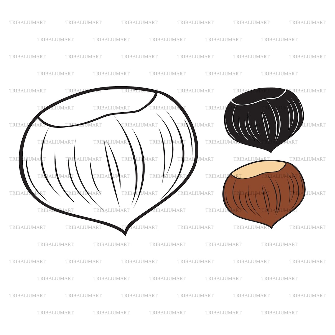 Chestnut. Cut Files for Cricut. Clip Art (eps, Svg, Pdf, Png, Dxf, Jpeg ...