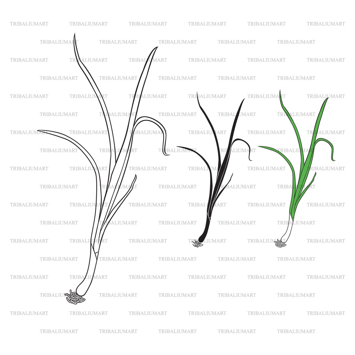 Green or Spring Onion (scallions). Cut Files for Cricut. Clip Art ...