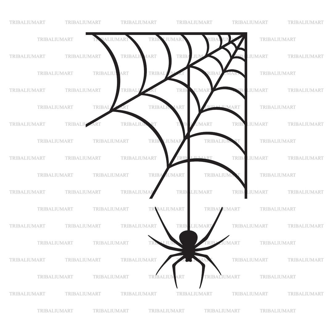Spider Web (spiderweb). Cut Files for Cricut. Clip Art Silhouette (eps ...