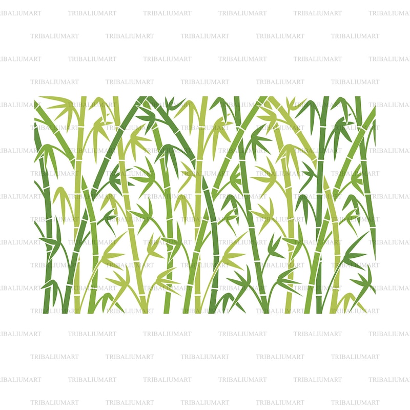 Asian Bamboo Scroll - Etsy