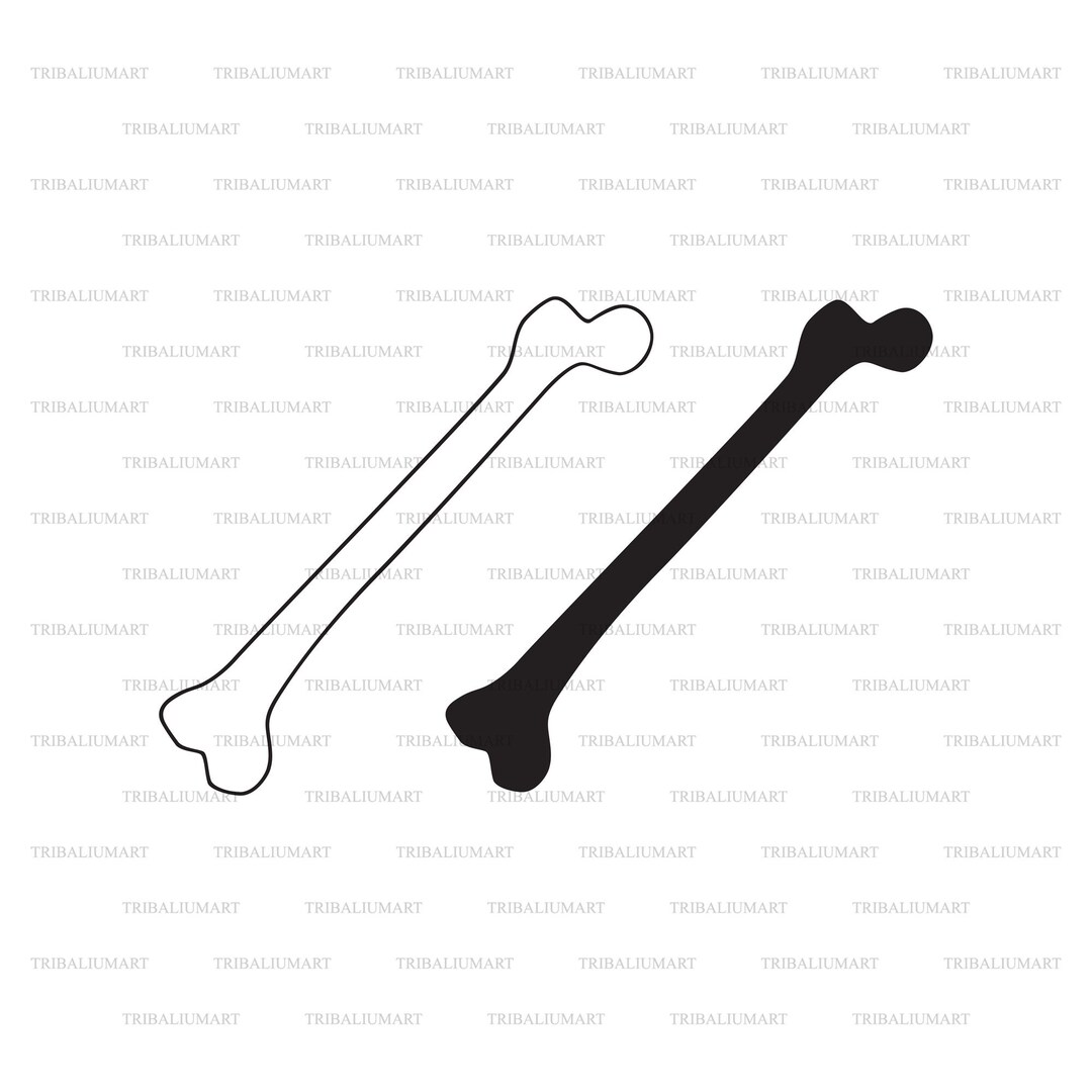 Femur or Thigh Bone. Cut Files for Cricut. Clip Art Silhouettes (eps ...
