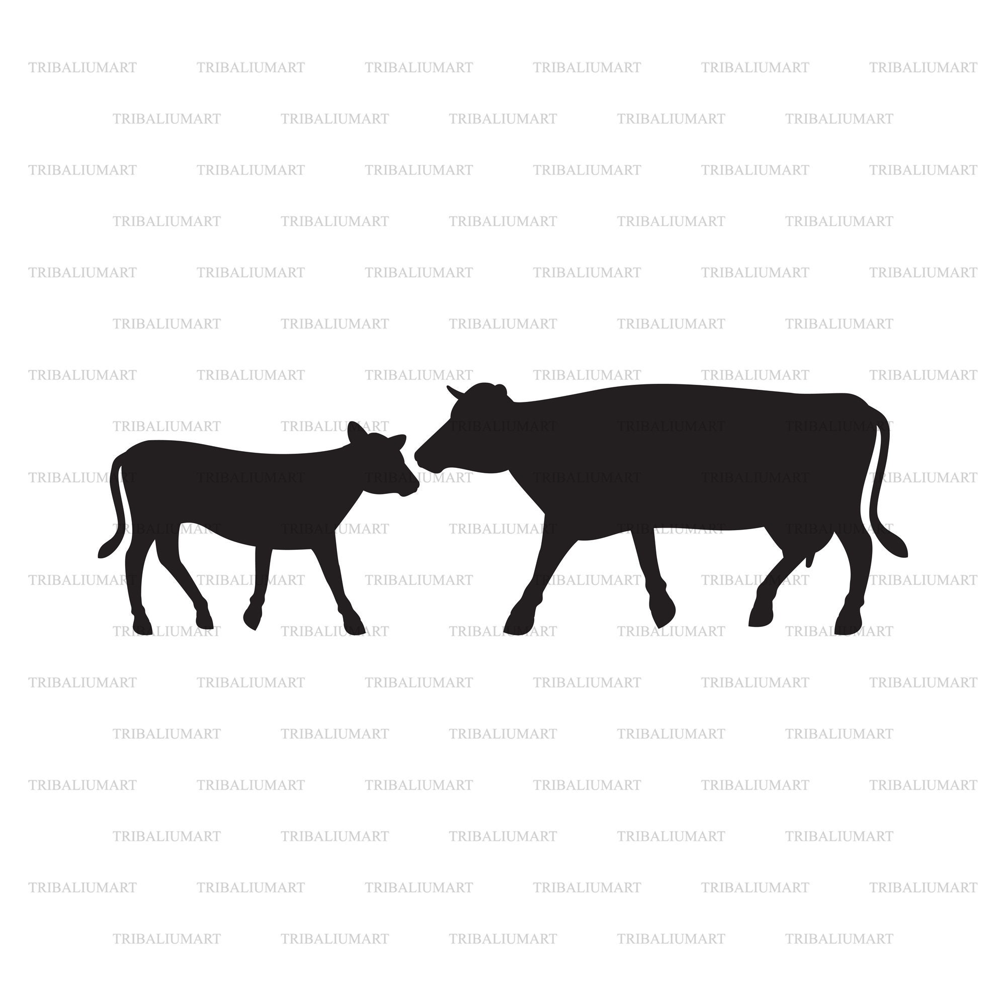 Show Calf Silhouette