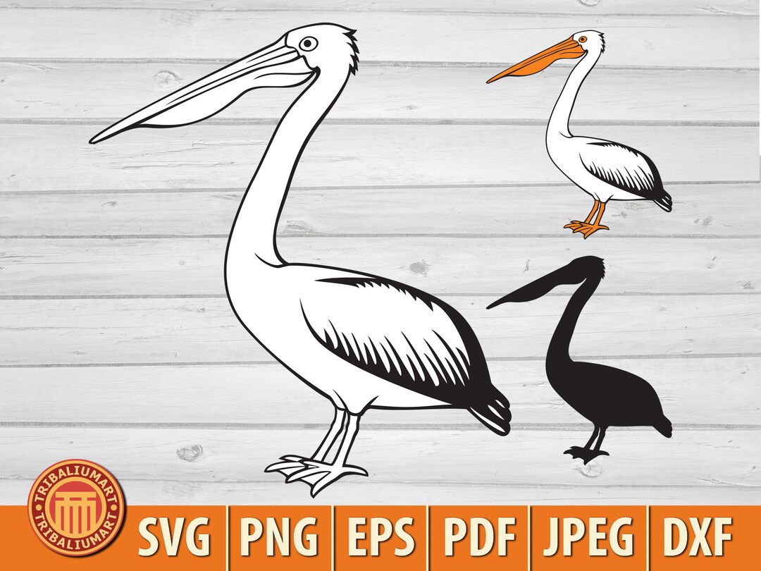 Pelican Bird. Cut Files for Cricut. Clip Art Silhouette (eps, Svg, Pdf ...