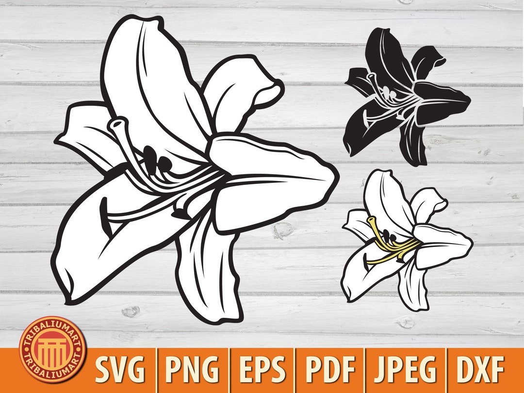 White Lily Flower. Cut Files for Cricut. Clip Art Silhouette (eps, Svg ...