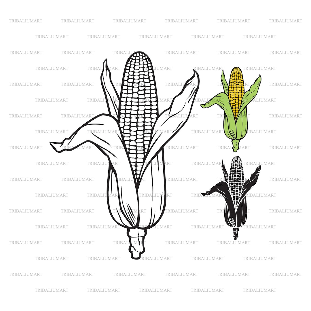 Corn With Leaves. Cut Files for Cricut. Clip Art Silhouettes (eps, Svg ...