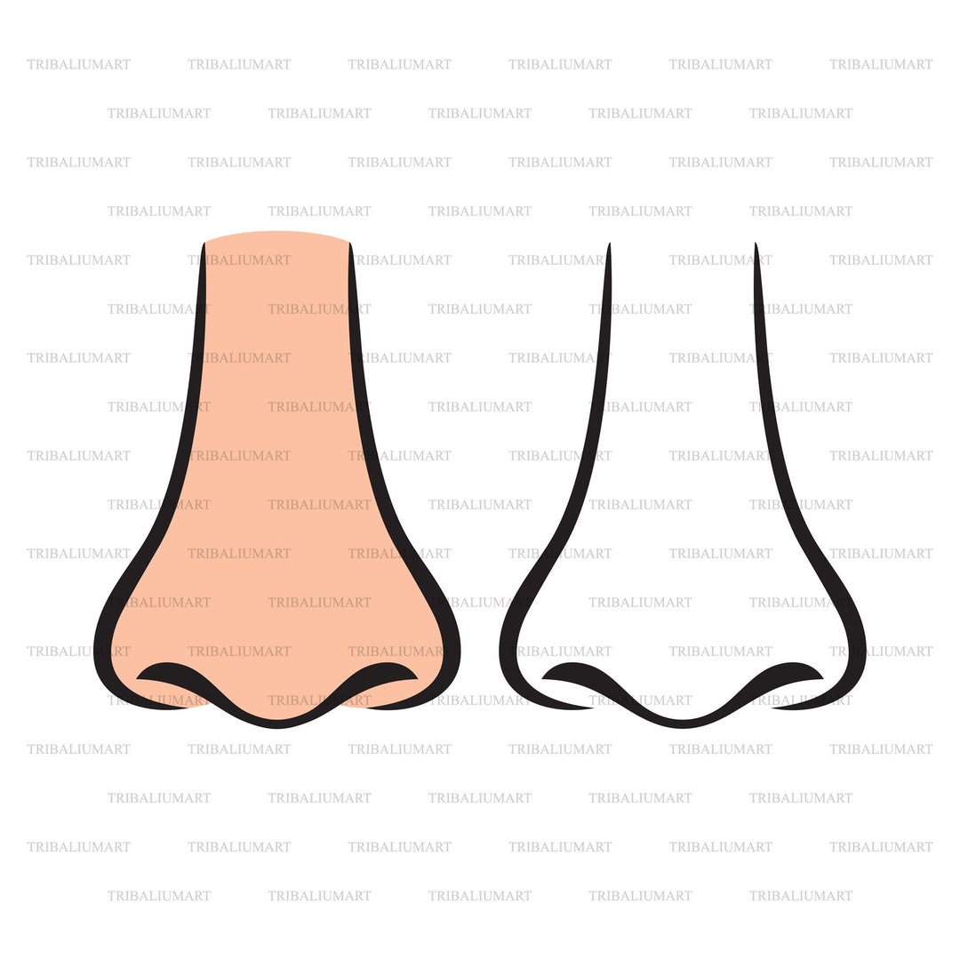 Human Nose. Cut Files for Cricut. Clip Art (eps, Svg, Pdf, Png, Dxf ...