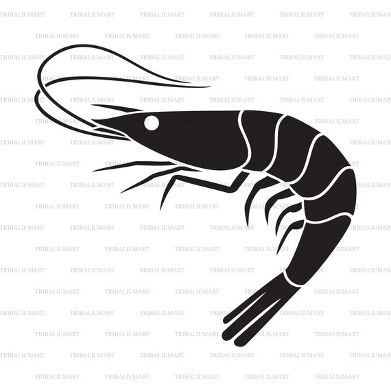 Shrimp. Cut Files for Cricut. Clip Art Silhouette eps Svg | Etsy
