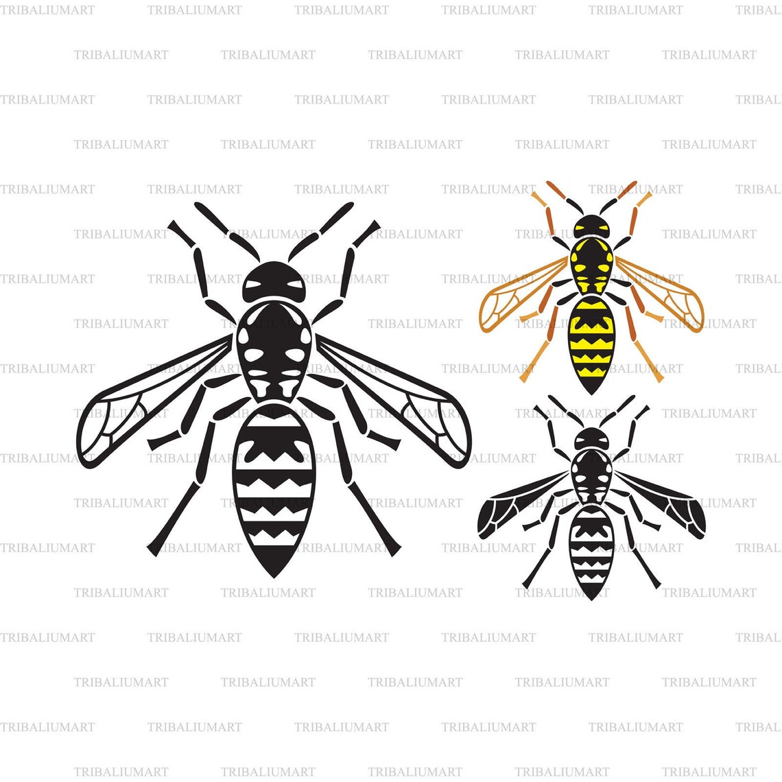 Wasp Insect. Cut Files for Cricut. Clip Art Silhouettes eps | Etsy