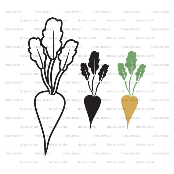 Sugar Beet. Cut Files for Cricut. Clip Art eps Svg Pdf | Etsy
