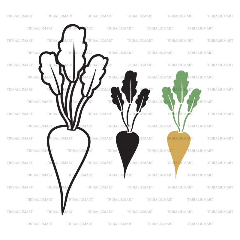 Cut Beets - Etsy