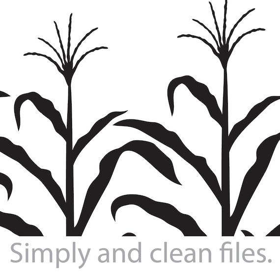 Digital 2 Corn Stalk Farmers Field Filed Agriculture Vegetable Farm Cob ...