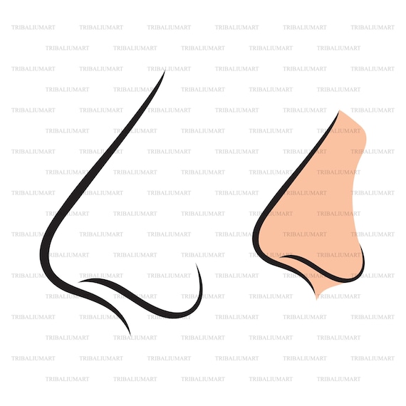 Human nose profile. Cut files for Cricut. Clip Art eps svg | Etsy